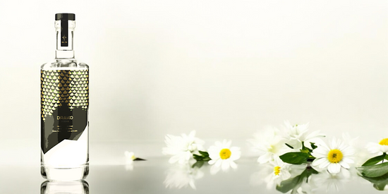 Reves Distillery – Destilería Revés